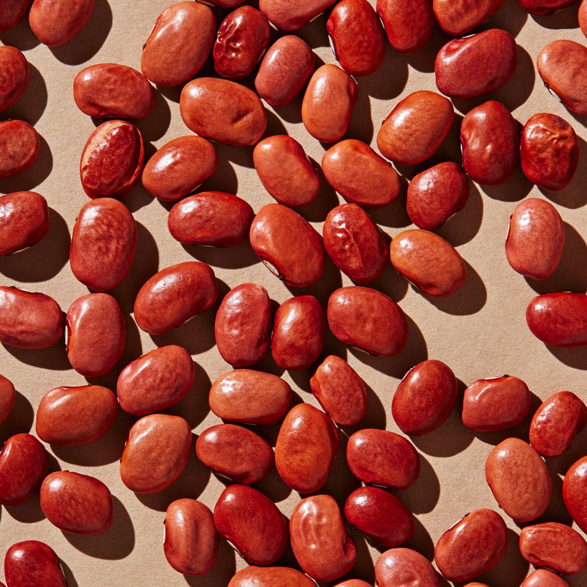 Organic King City Pink Beans at Wine and Eggs – Wine + Eggs